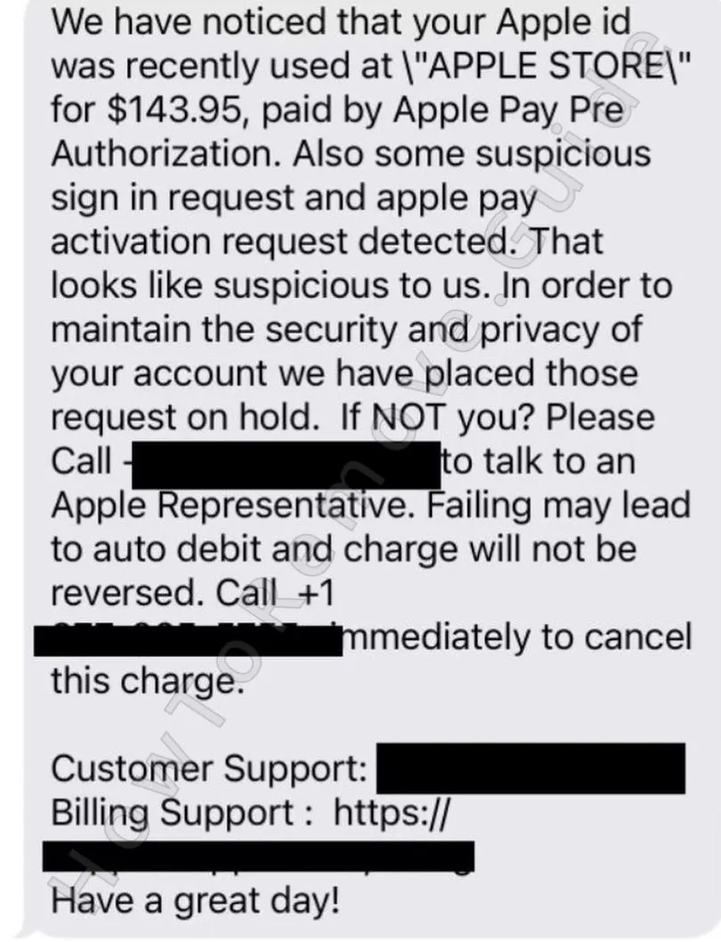 What Is the Apple Pay Pre-Authorization Scam?